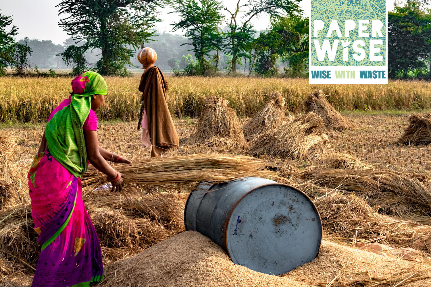 Peter van Rosmalen, CEO PaperWise: 'Papier uit landbouwafval halveert ...