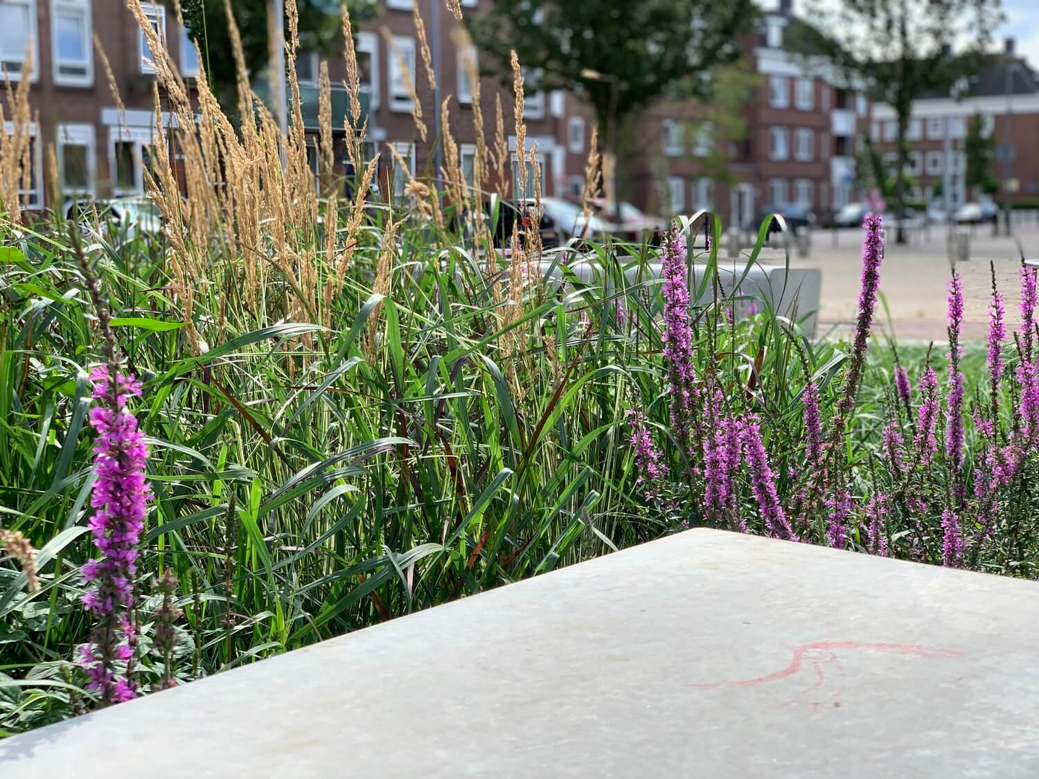 Duurzame oplossingen tegen wateroverlast voorhanden - TW.nl