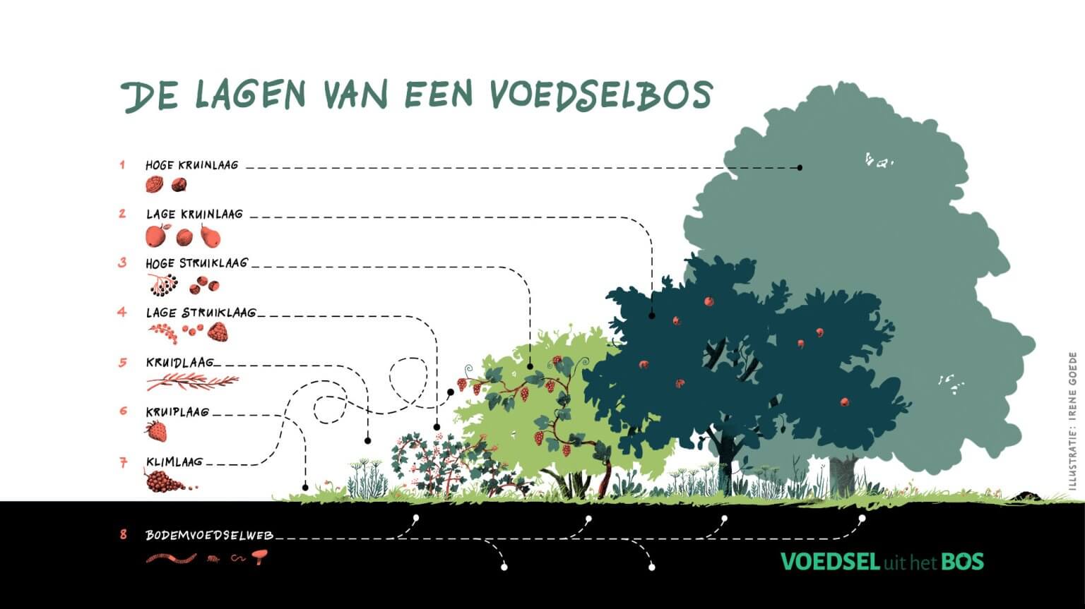 “Het is simplistisch te denken dat de transitie slechts één kantelpunt ...