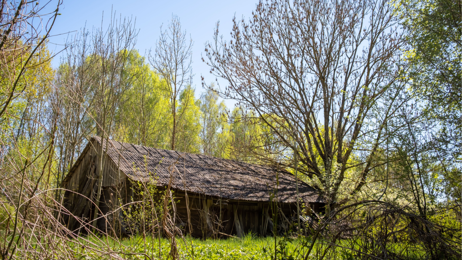 Tsjernobyl maakt comeback: Oekraïne overweegt heropening, bijna 40 jaar na ramp - TW.nl