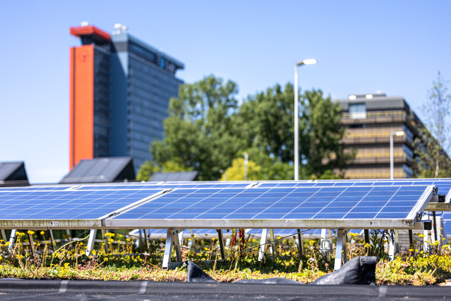 Welkom in The Green Village: de proeftuin waar duurzaamheid ...